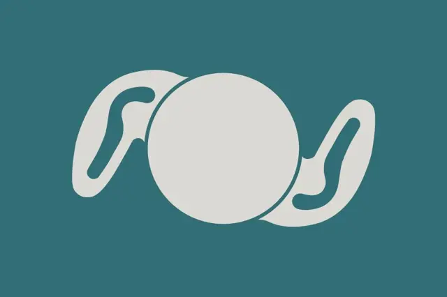 Lens Choices | Freedom Vision Cataract Surgery